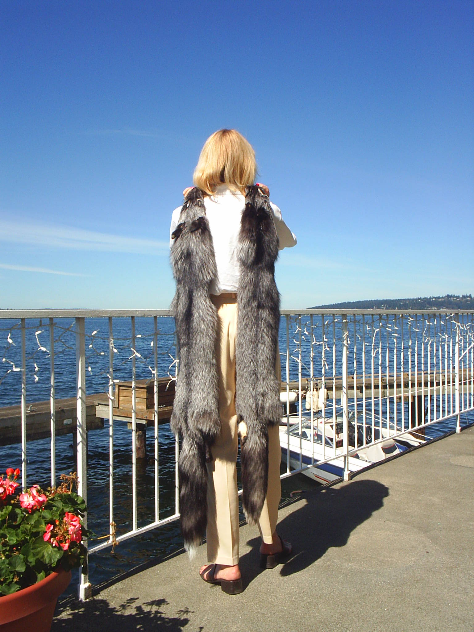 Fur Pelts Of Mink Lynx Chinchilla Wolf Beaver Sable Marten Fox